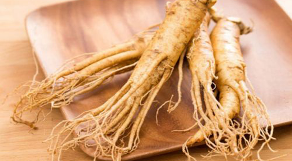 Khám phá những lợi ích sức khỏe của đằng sâm Y Học Cổ Truyền